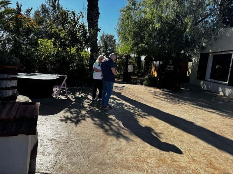 Winery Visit and Tasting in Elche with wines and tapas from Alicante in Van - Breakdown of the Itinerary