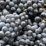 Winery Visit on Parma Hills & Wine Tasting with Food Platter - Who Will Love This Experience?