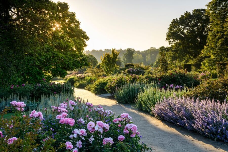 Woking: Royal Horticultural Society Wisley Garden Ticket - The Glasshouse — An Indoor Marvel