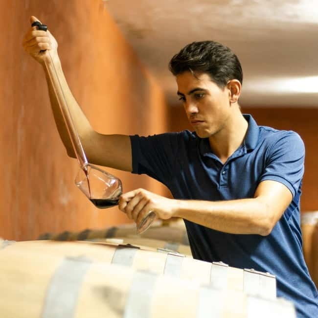 Xalo: Vineyard Tour with Wine Tasting and Snacks - What to Expect: A Step-by-Step Breakdown