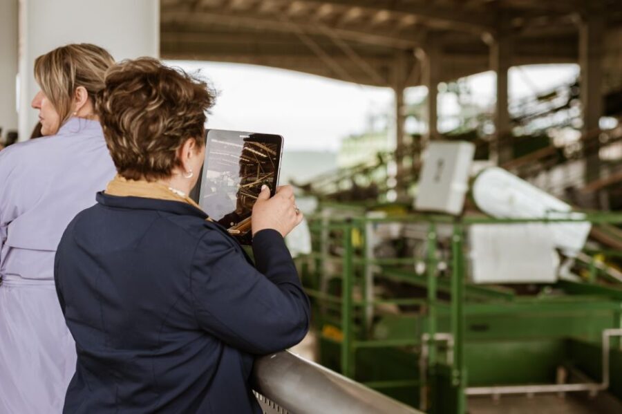 XXI Century Olive Oil Mill Tour - Why This Tour Offers Real Value