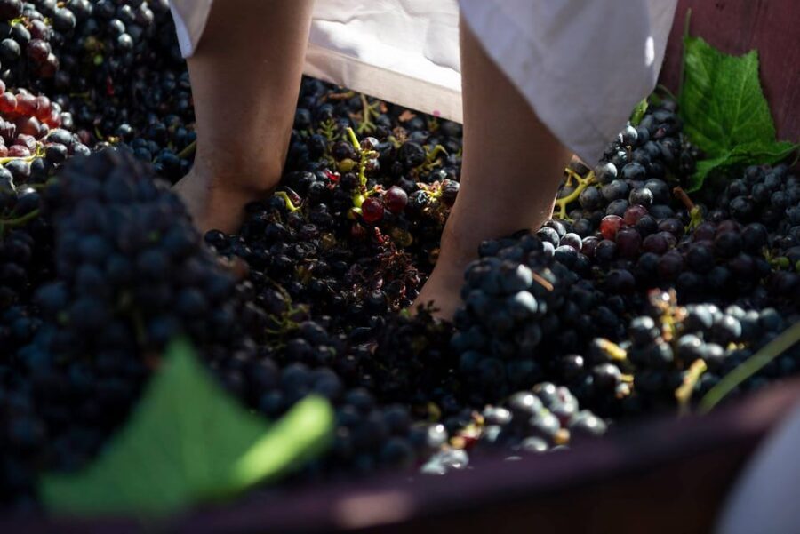 Yerevan: Khor Virap Day Trip with Mount Ararat Wine Tasting - The Scenic Drive and the Wine Tasting Experience