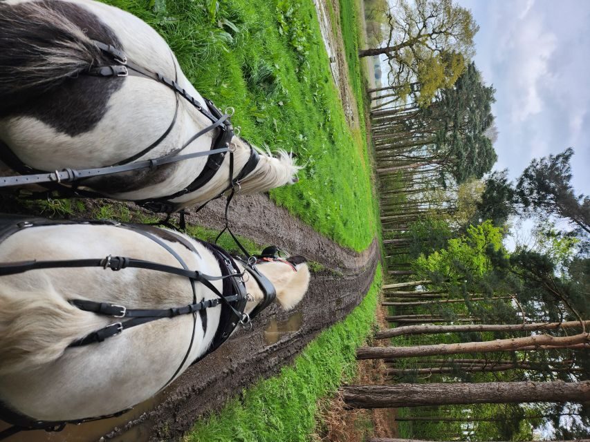 York: Horse Drawn Carriage ride & Cream Tea - The Itinerary in Detail