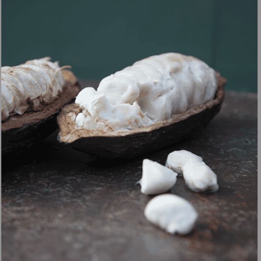 Zaandijk: Chocolate making demonstration & tasting - A Closer Look at the Experience