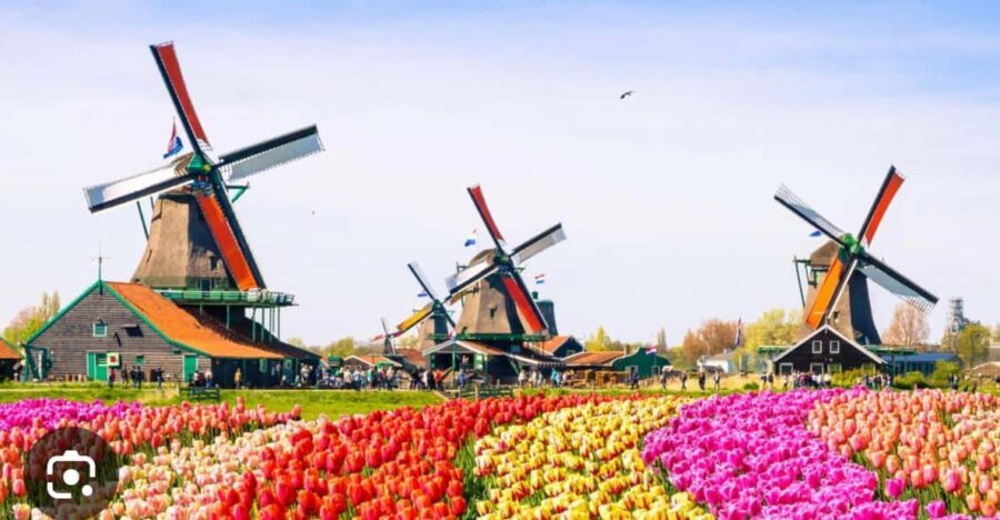 Zaanse Schans - Cheesefactory -Volendam, Private Tour. - Price and Value