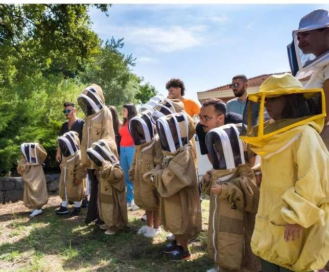 Zafferana Etnea:Honey extraction workshop and honey tasting - The Breakdown of the Experience