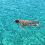 Zakynthos: Boat Rental - Practical Details That Matter