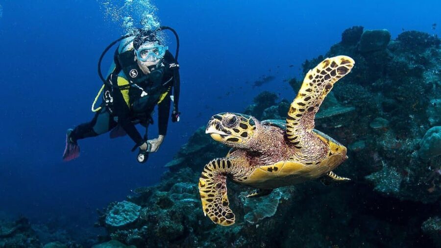 Zakynthos: Scuba Diving Experience with Underwater Photos - The Value of This Experience