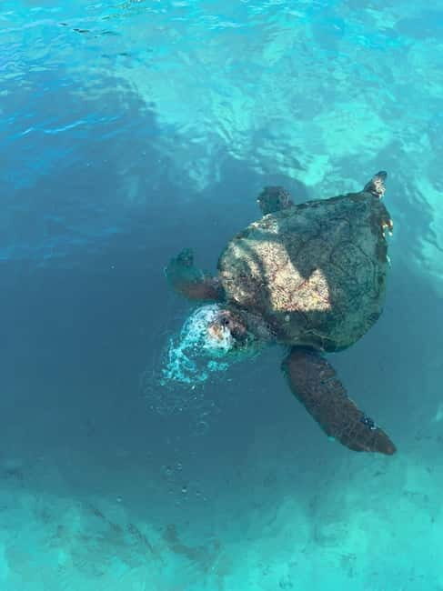 Zakynthos: Turtles, Marathonisi & Keri Caves Speedboat Tour - What Makes This Tour Special?