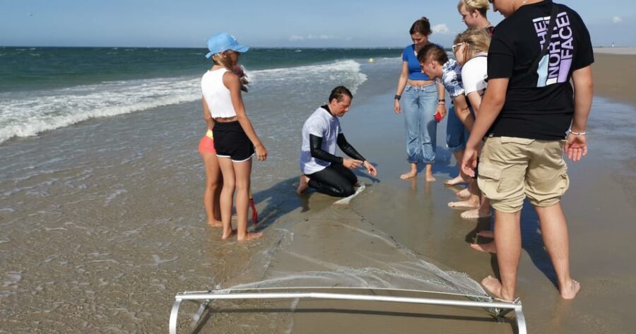 Zeeland Zeehonden strand safari NL/DE - Who Should Consider This Tour?