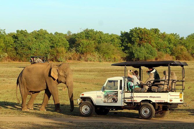 05 Days Wild Life Tour [Tour plane 02] - Key Points