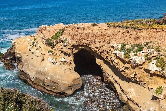 1.5 Hour Walking Tour from La Jolla in San Diego - Practical Tips for Travelers