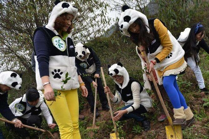 1-Day Dujiangyan Panda Base Volunteer Program Tour from Chengdu - Analyzing the Value