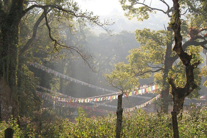 1 day hike to Phulchwoki - The Experience: What Makes This Tour Special?