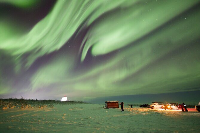 1 Day Shared Tour Arctic Circle and Aurora Viewing in Alaska - The Itinerary: What to Expect