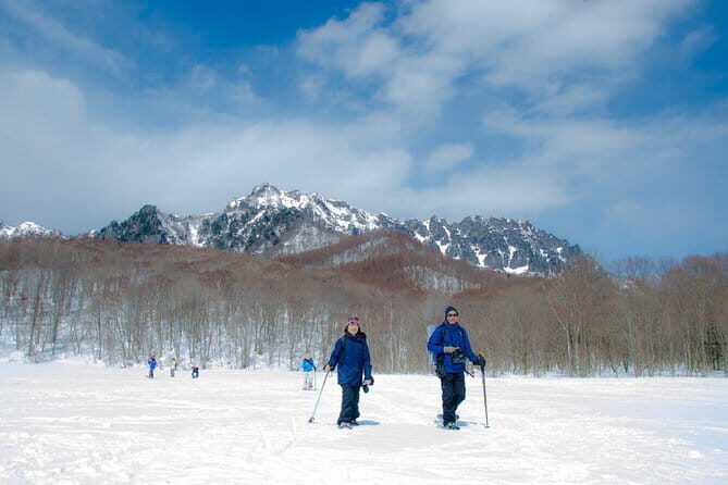 1 Day Ski Tour Package Easy Departure from Nagano Station - The Itinerary Breakdown: What to Expect