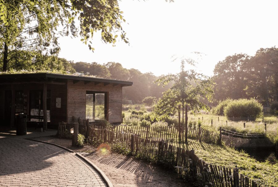 1-day ticket for Schwerin Zoo - The Experience Beyond the Animals