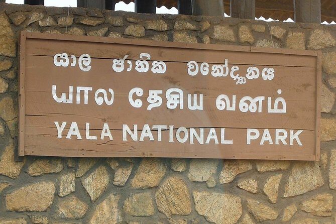 1 Day tour to Yala National Park or Udawalawe National Park - What the Reviews Say