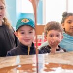 1 Hour Chocolate Bar Class in Jacksonville - The Sum Up