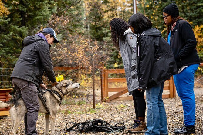 1 Hour Fall Sled Dog Experience in Two Rivers - What Sets This Tour Apart?