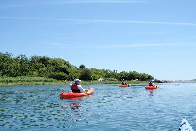 1 Hour Guided SUP/Kayak Tour in Pelican Bay at Fort Myers Beach - Who Will Love This Experience?