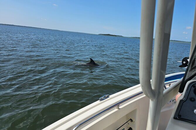 1 Hour Private Dolphin and Nature Tour - Final Thoughts
