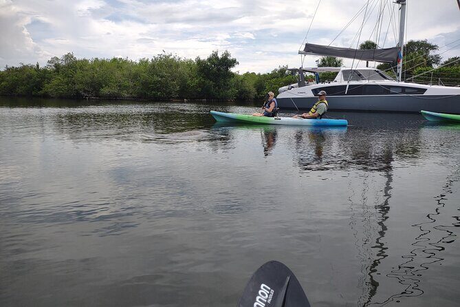 1-Hour Single Kayak Rental with Manatee & Dolphin sightings - Value for Money and Practical Considerations