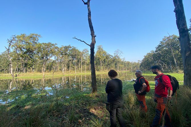 1 Night 2 Days Chitwan Safari Tour - What Makes This Tour Special?