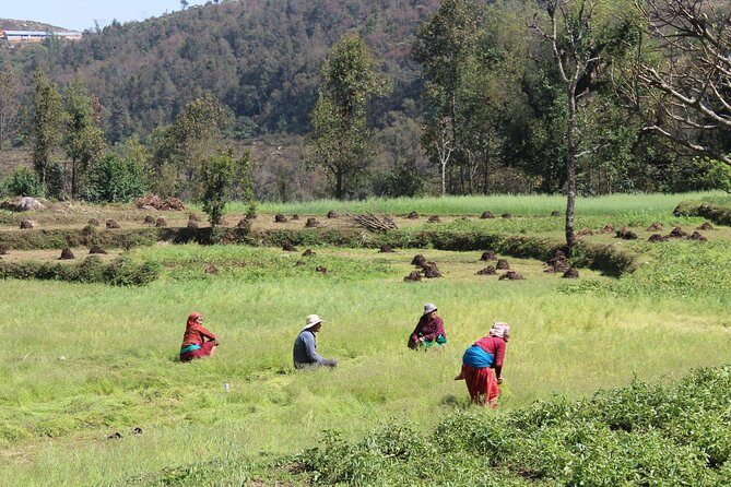 1 Night 2 Days ECO Trek - What to Expect from the Trek