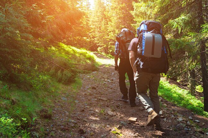 10 Hours Private Hiking in Khao Yai National Park From Bangkok - Practicalities and Considerations