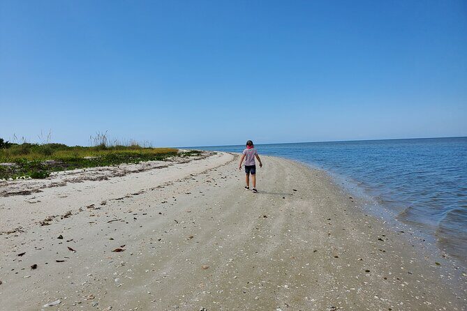 10,000 Islands Boat Tour + Naturalist Led Walk in the Everglades! - What Makes This Tour Stand Out?