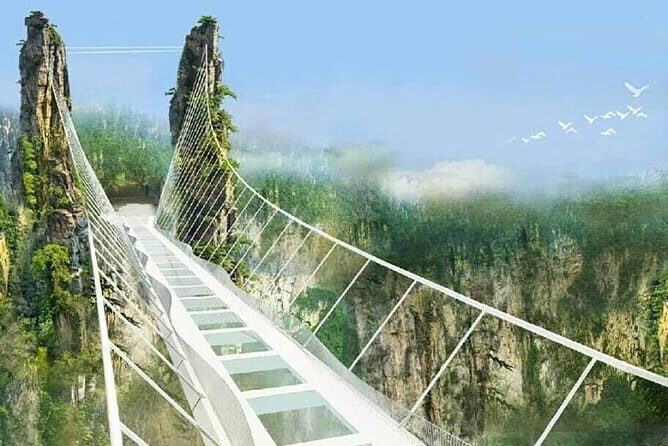 11-Day Small Group China Tour to Beijing, Xi'an, Zhangjiajie and Shanghai - Practical Aspects and Value