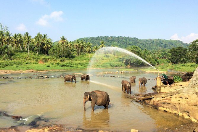 12 Day Explore Sri Lanka - Who Would Enjoy This Tour?