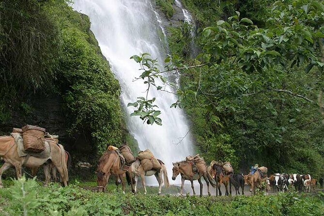 12 days Jomolhari Trekking & Mountain Festival Tour in Bhutan - Who Is This Tour Best For?
