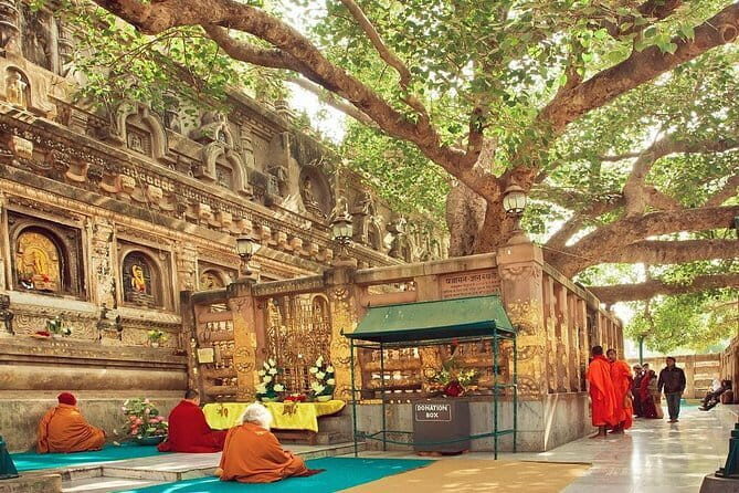 15 Days - Golden Triangle Tour with Buddhist Circuit - Itinerary Breakdown and What to Expect