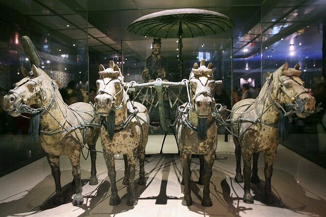 2-Day Amazing Luoyang and Xi'an Private Tour including Bullet Train - Practical Details and Value