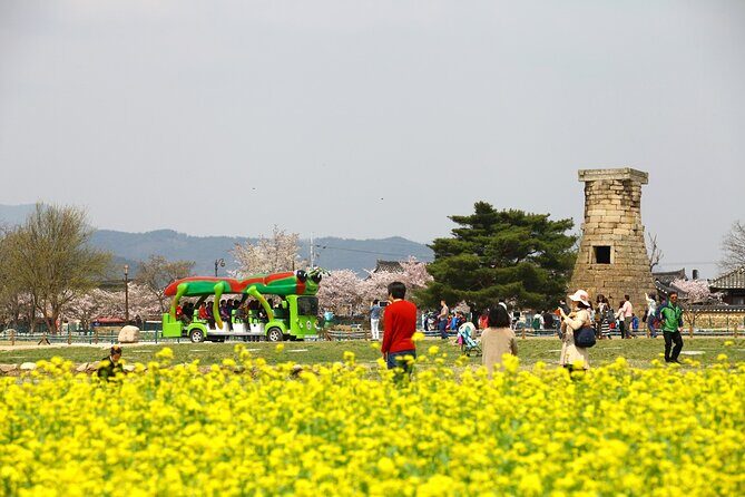 2-Day Gyeongju Rail Tour from Seoul - Transport and Logistics: Making Travel Easy