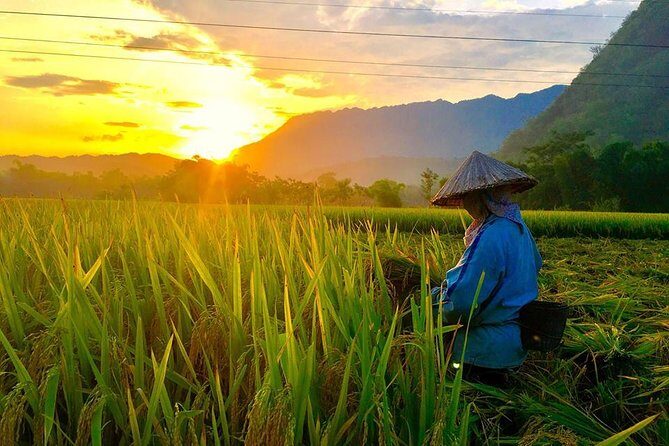 2-day Mai Chau and Pu Luong with round trip transfer from Hanoi - Practical Details and What They Mean for You