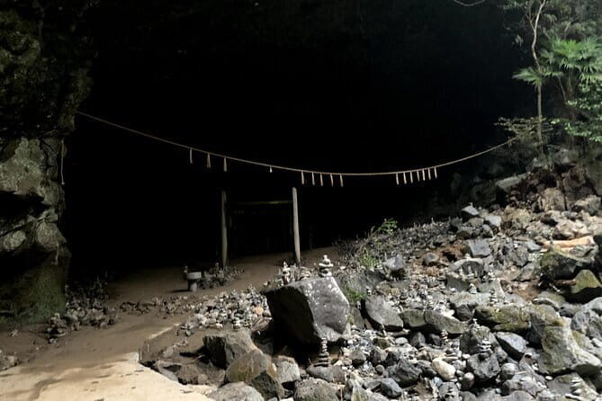 2-Day Minibus Tours to Aso and Kumamoto, Takachiho from Fukuoka - Practicalities and Value