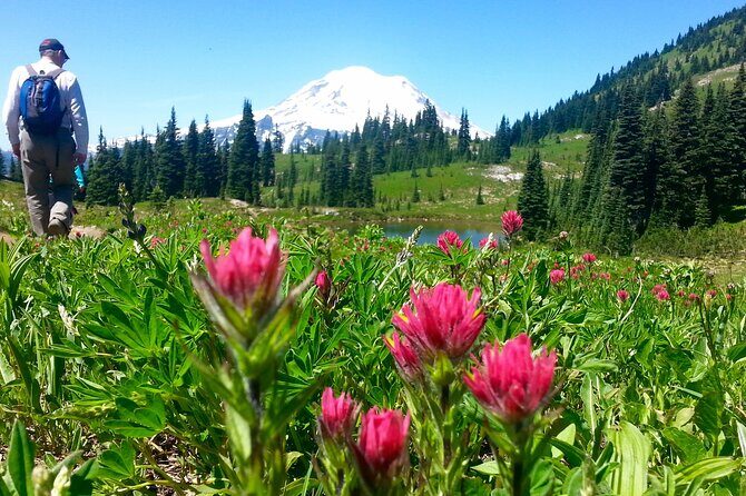 2 Day Mt Rainier All-Inclusive Small Group Tour - Who Should Consider This Tour?