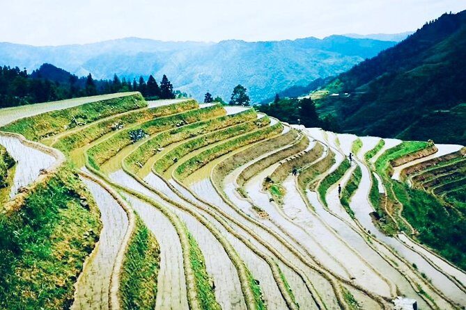 2-Day Private Guilin Highlight Tour including Li River and Longji Rice Terraces - Analyzing the Value and Experience