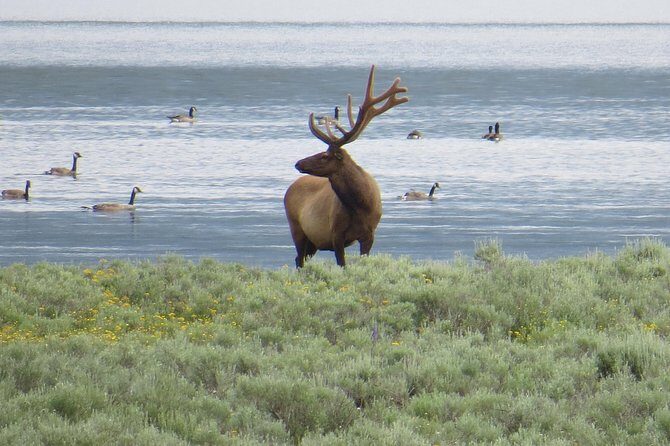 2-Day Private Tour of Yellowstone National Park Lower & Upper Loops - Final Thoughts: Who Should Consider This Tour?