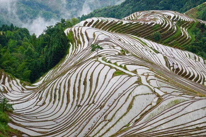 2-Day Private Tour to Longji Rice Terraces and Ping'an Village from Guilin - What Makes This Tour Stand Out