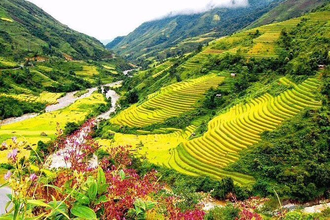 2-Day Spectacular Sapa Trek With Sleeper Bus From Hanoi - Overnight At Homestay - Authentic Experiences and Insights from Reviews