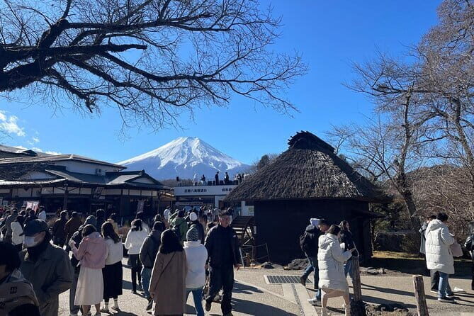 2 Day Tokyo Mt. Fuji Hakone Odawara castle Kamakura, Onsen Ryokan - Transportation and Logistics