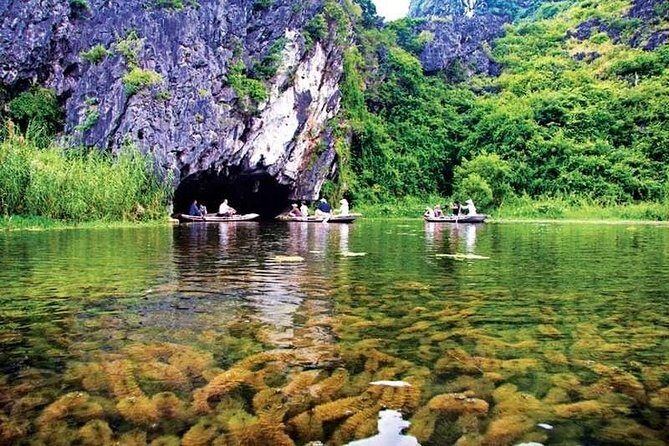 2-Day Tour Hoa Lu - Tam Coc - Mua Cave - Cuc Phuong - Galaxy Cave - Day 2: Nature, Wildlife, and the Enchanting Galaxy Cave
