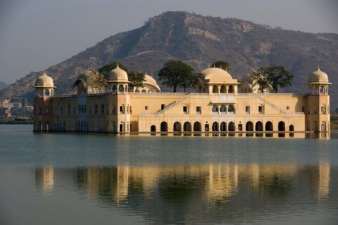 2 Days Private Jaipur & Ranthambore Tour (All Inclusive) - Day 2: Wildlife Encounters in Ranthambore