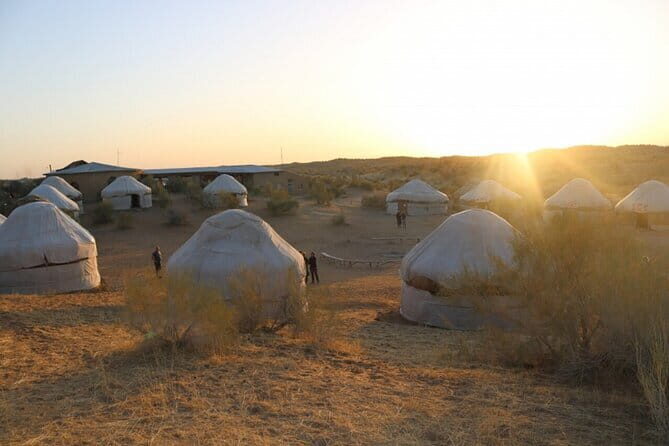2 Days Private Safari Tour from Bukhara - The Sum Up: Who Is This Tour Best For?