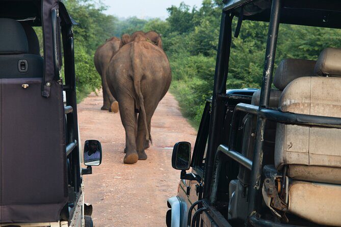 2 Days Tour To Bentota Galle & Yala From Colombo - The Experience in Practice