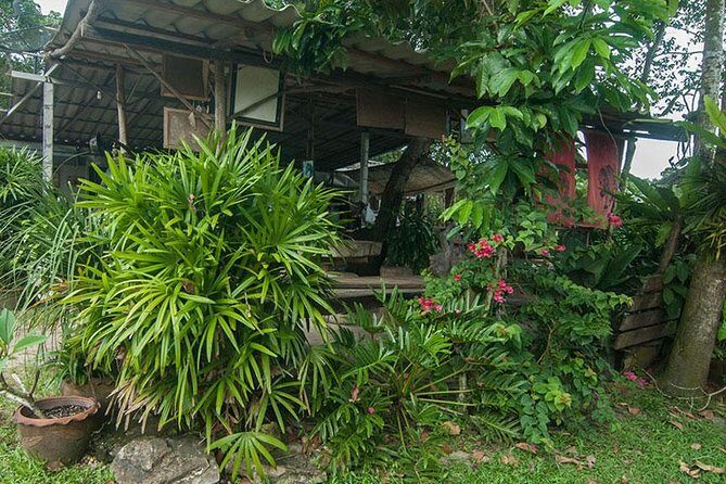 2 Hour Horse Riding Tour On The Beach Krabi - The Itinerary in Detail